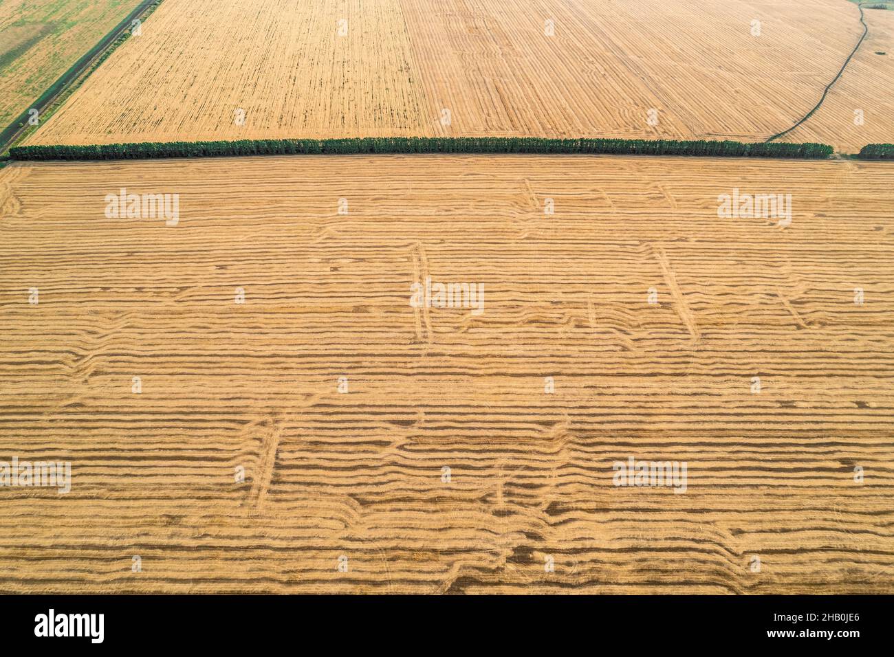 View from above field after harvest. Incredible landscapes and textures ...