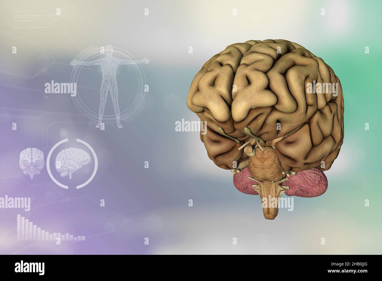 Human brain, psychology work concept - detailed electronic texture ...