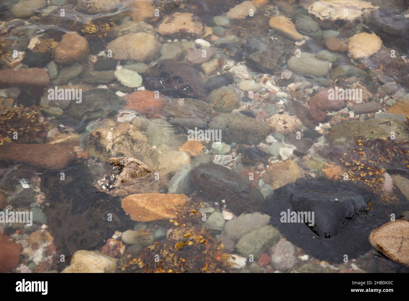 Stones under water Stock Photo - Alamy