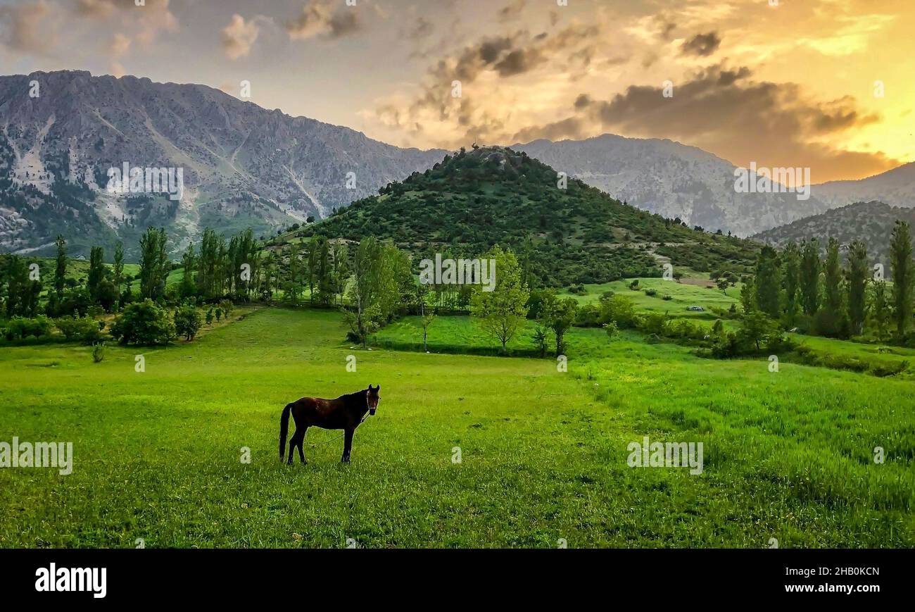 Lonely place hi-res stock photography and images - Alamy