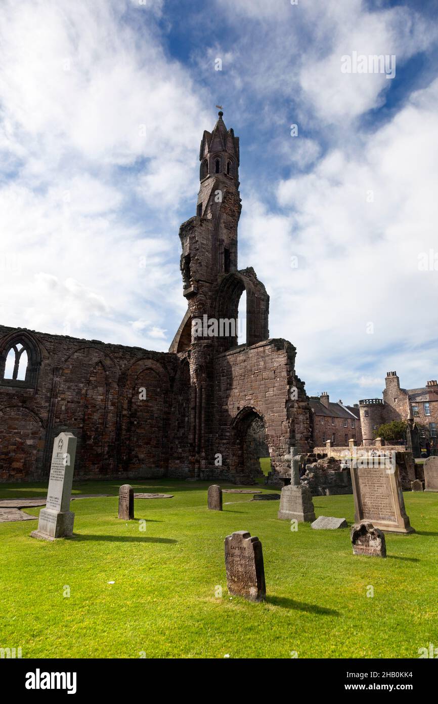 Ruin of St Andrews Cathedral in St Andrews Scotland Stock Photo - Alamy