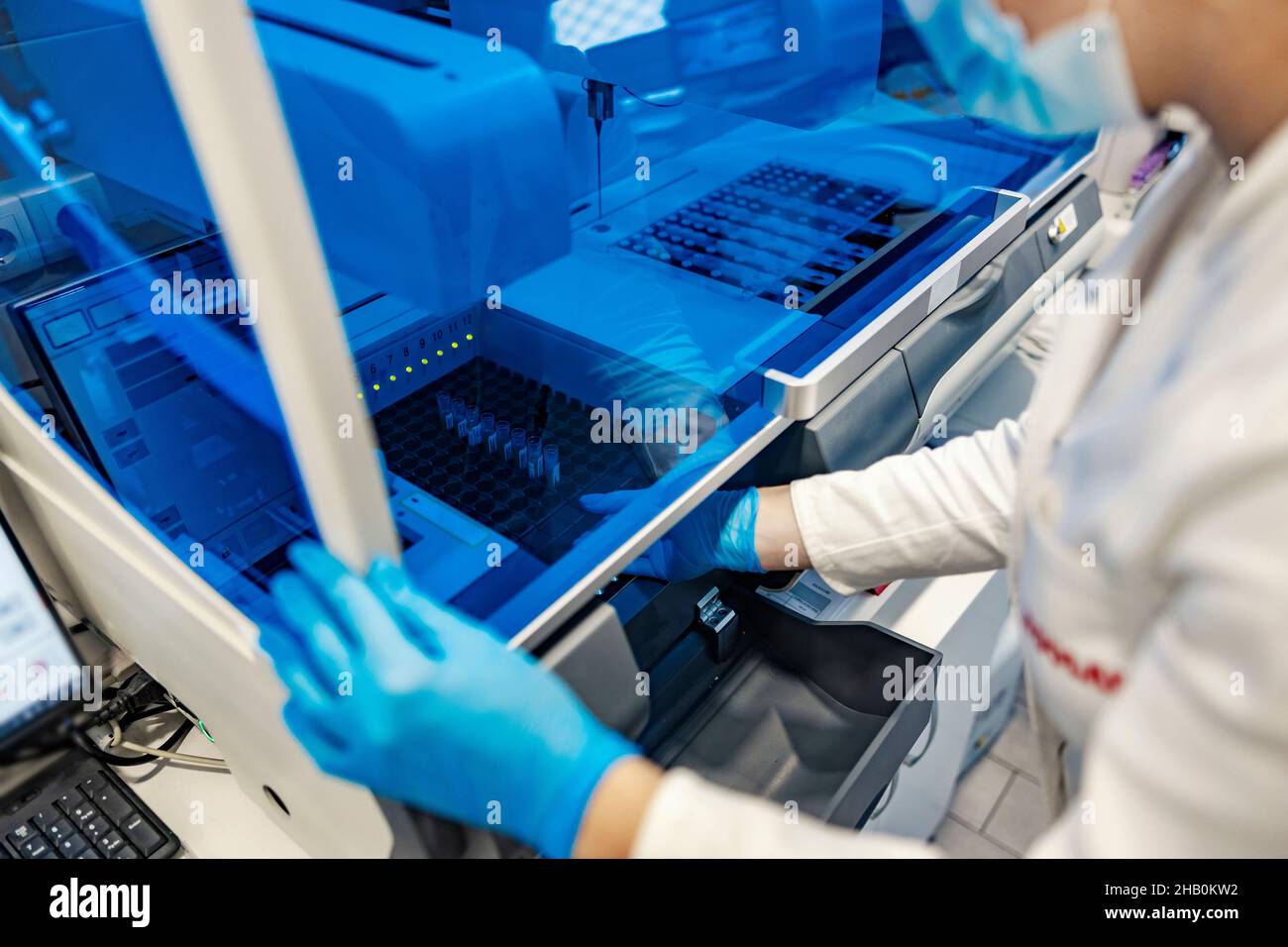 Microbiology and modern technology in lab. A scientist with sterile ...
