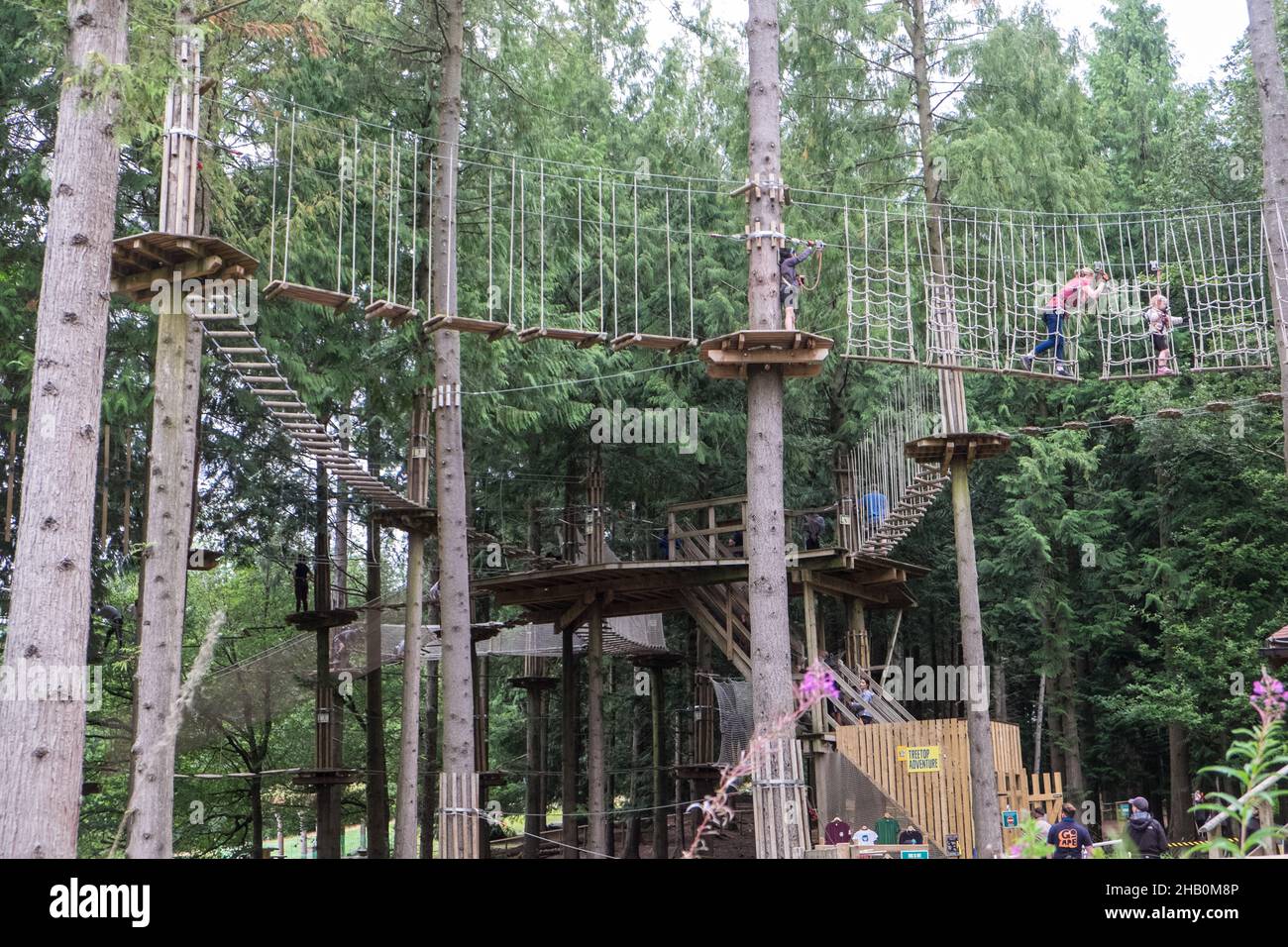 Go Ape,next,to,Sculpture Trail,Forest of Dean,Sandwiched between the ...