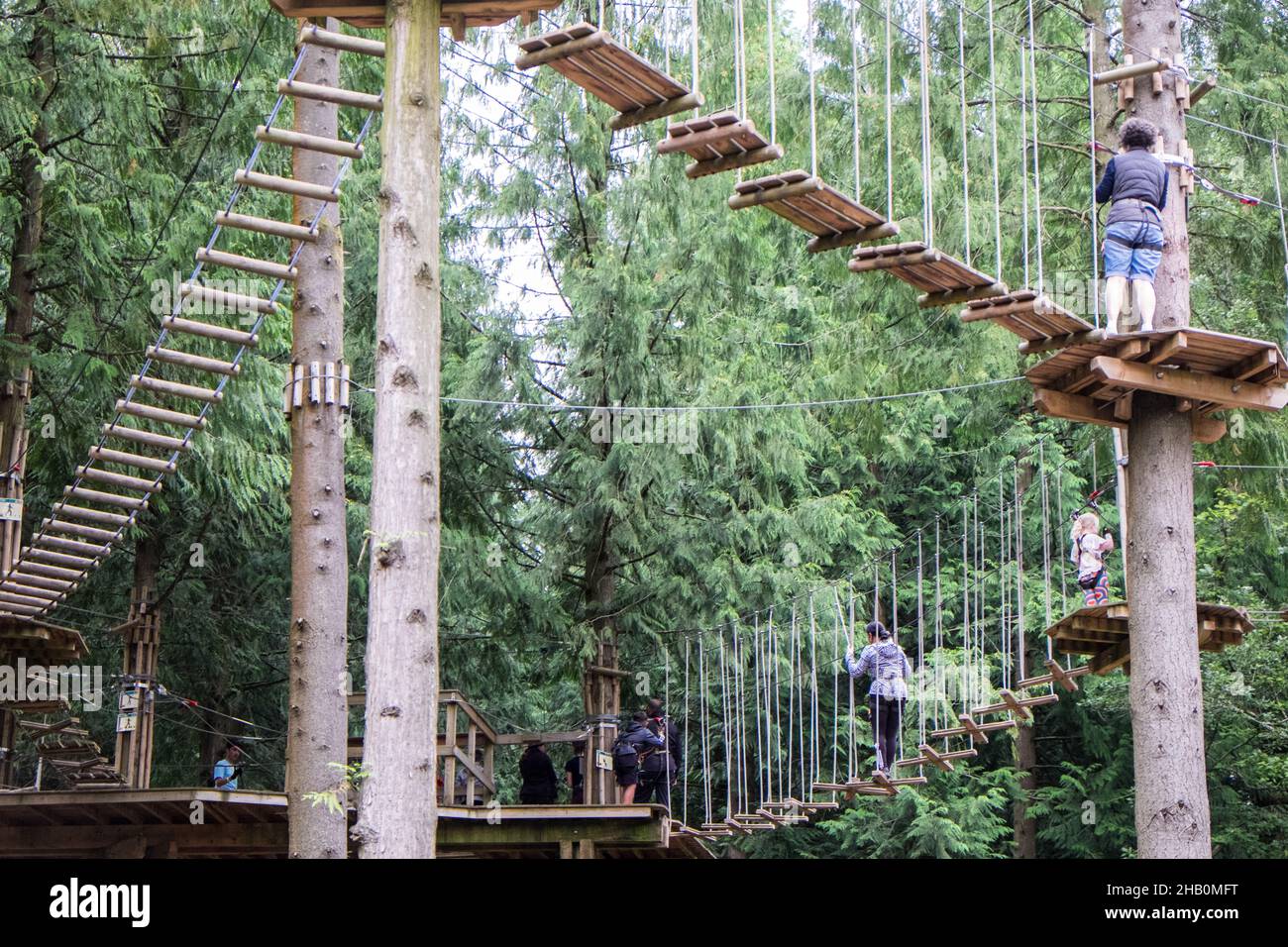 Go Ape,next,to,Sculpture Trail,Forest of Dean,Sandwiched between the ...