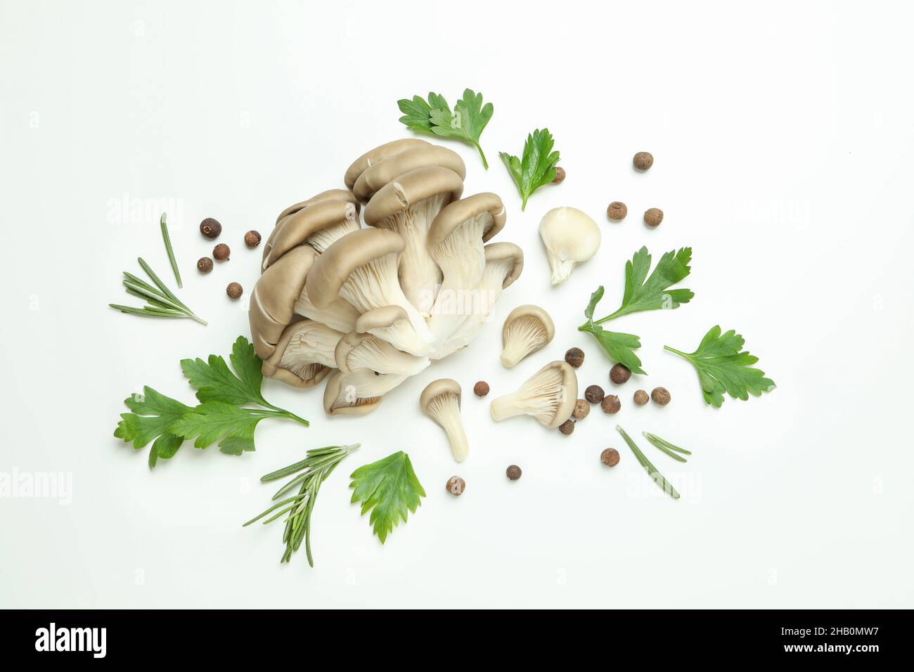 Concept of tasty food with oyster mushroom on white Stock Photo - Alamy