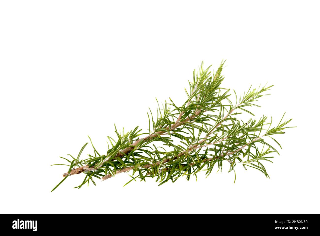 Food banner template design Cut Out Stock Images & Pictures - Alamy