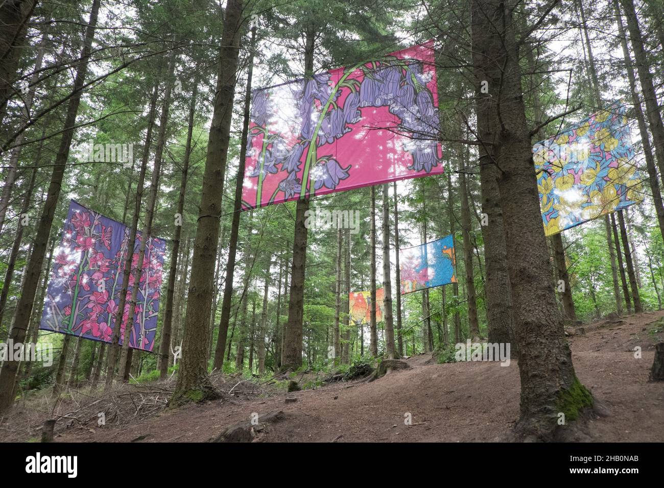 Forest of Dean Sculpture Trail,Sculpture Trail,Forest of Dean ...