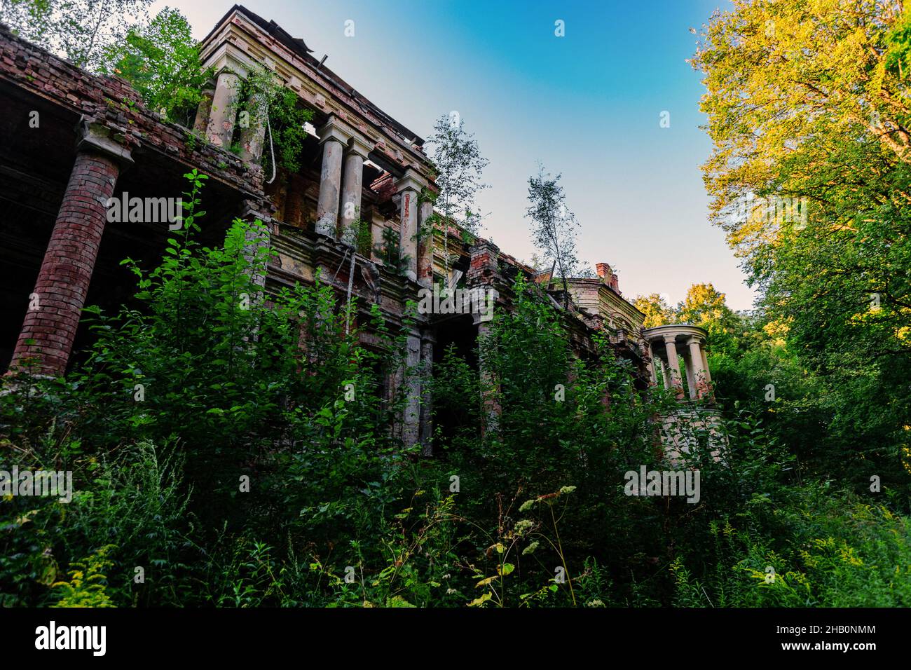 Old ruined overgrown abandoned mansion. Former manor Stepanovskoe ...
