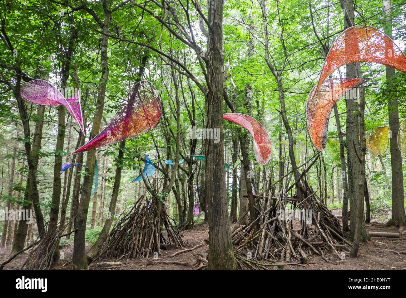 Forest of Dean Sculpture Trail,Sculpture Trail,Forest of Dean ...