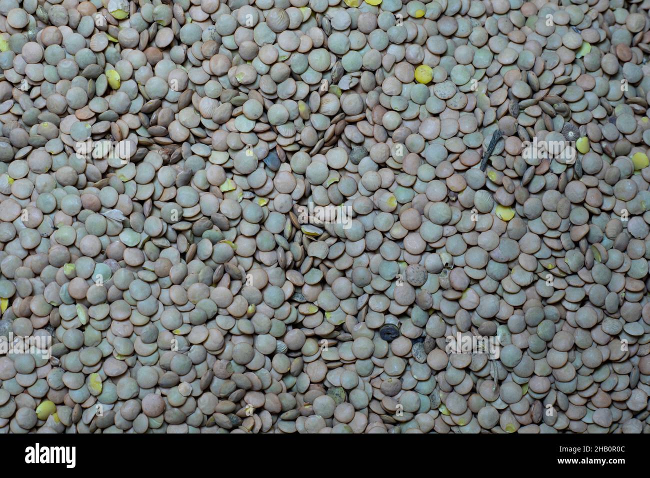 Pile of green lentil grains background surface texture Stock Photo - Alamy