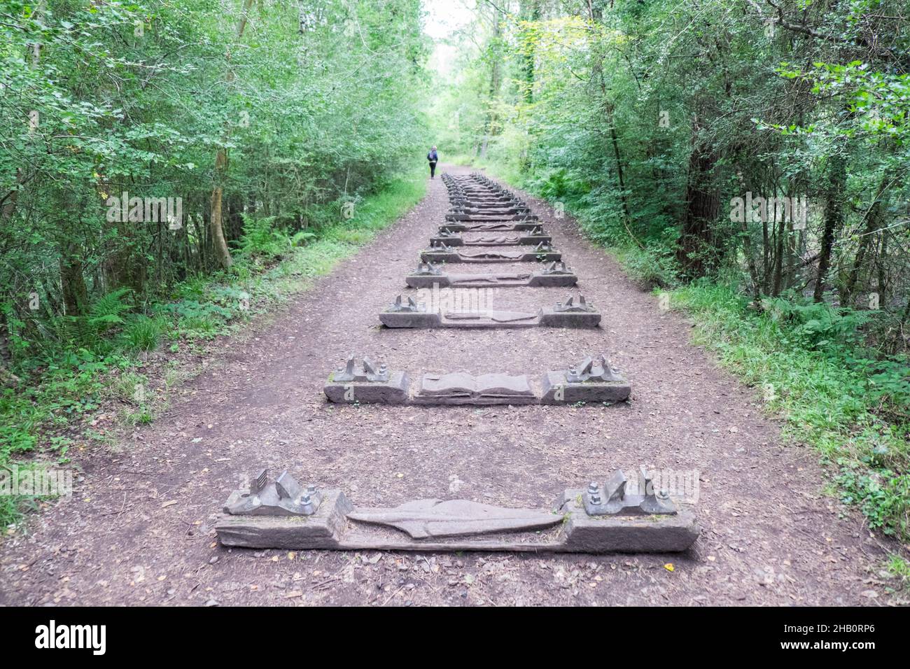 Forest of Dean Sculpture Trail,Sculpture Trail,Forest of Dean ...