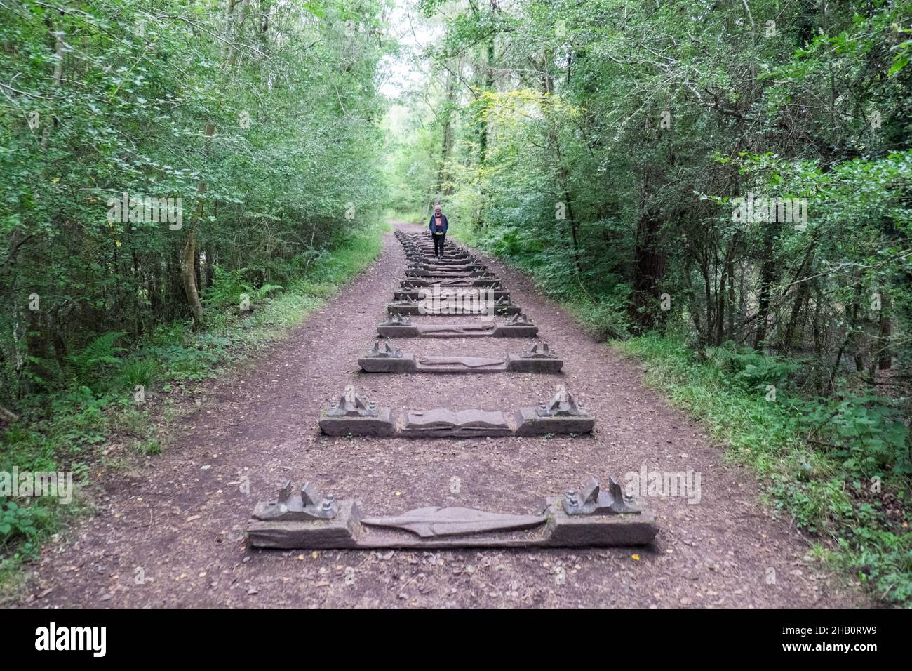 Forest of Dean Sculpture Trail,Sculpture Trail,Forest of Dean ...