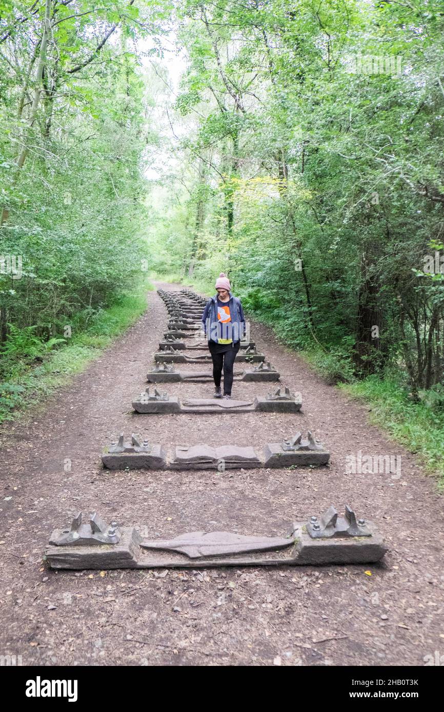 Forest of Dean Sculpture Trail,Sculpture Trail,Forest of Dean ...