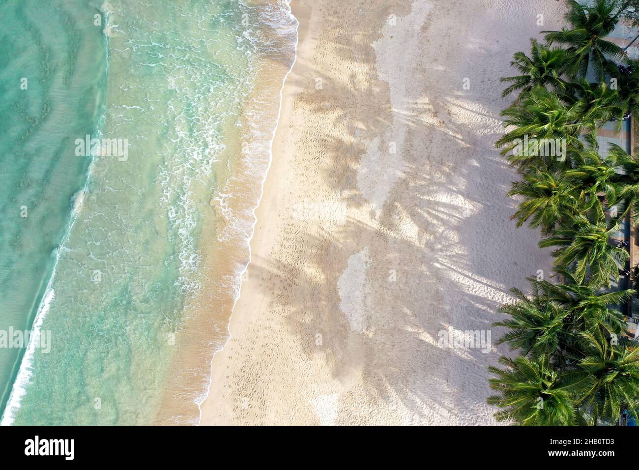 Aerial view top view Beautiful topical beach with white sand coconut ...