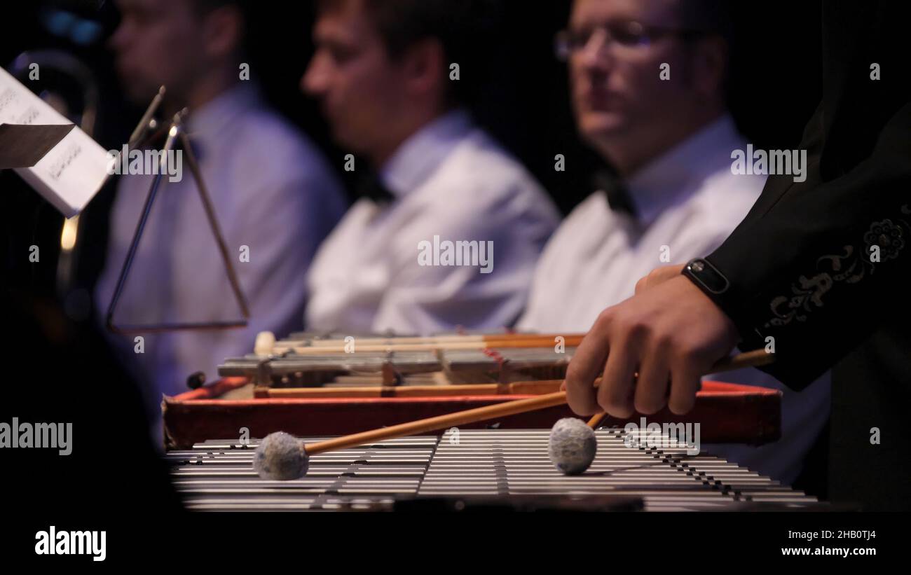 Close up of the musician playing on xylophone. Xylophone, music and ...