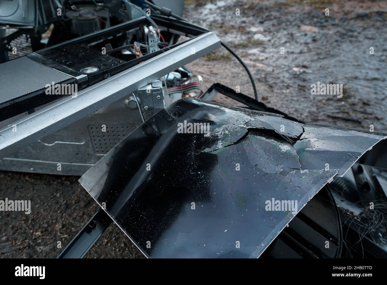 Computer in nature. The concept of the importance of nature in the ...