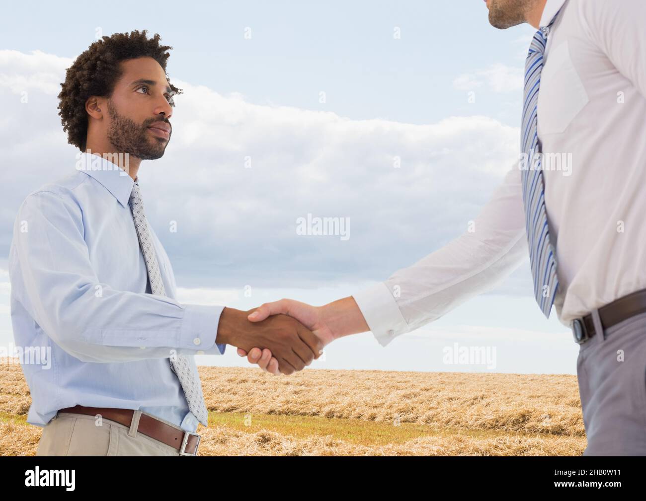 Two diverse businessmen shaking hands against grass field and clouds in ...