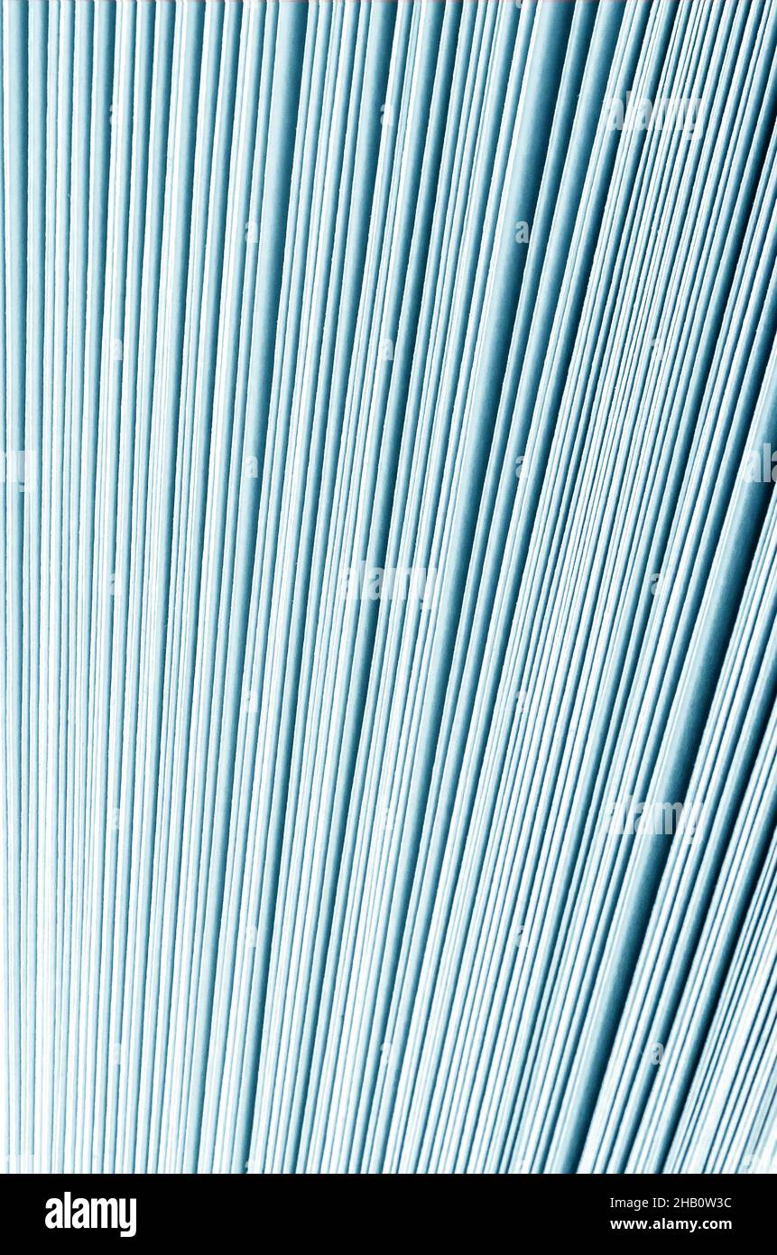 Blurred. Macro view of book pages. Toned. open book. Close-up Stock ...