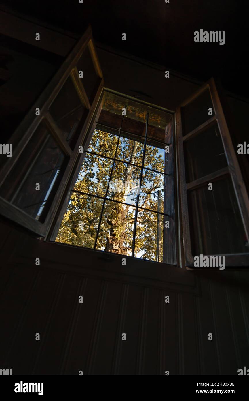 Inside view through an open grunge wooden window of a large beautiful ...