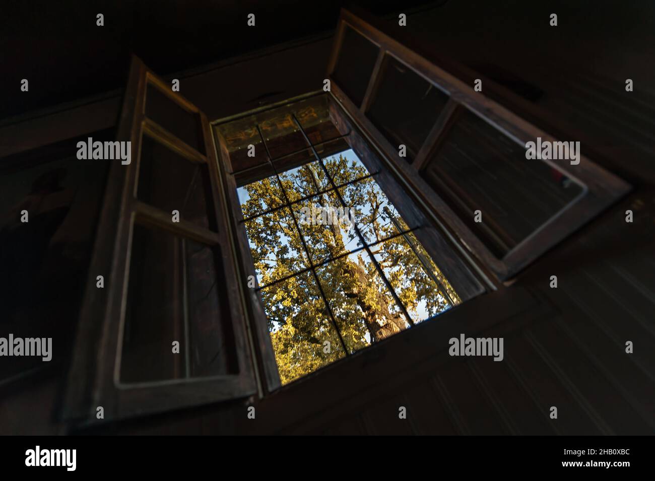 Inside view through an open grunge wooden window of a large beautiful ...