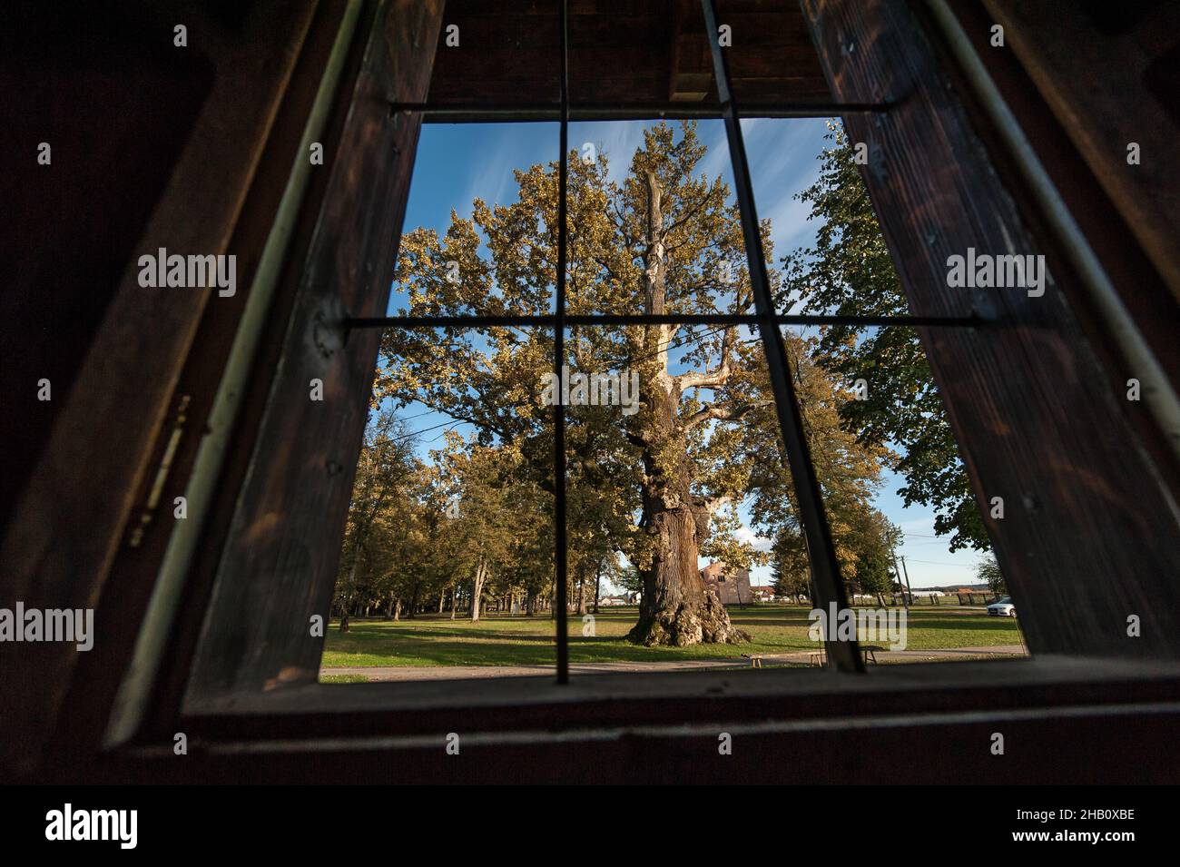 Inside view through an open grunge wooden window of a large beautiful ...