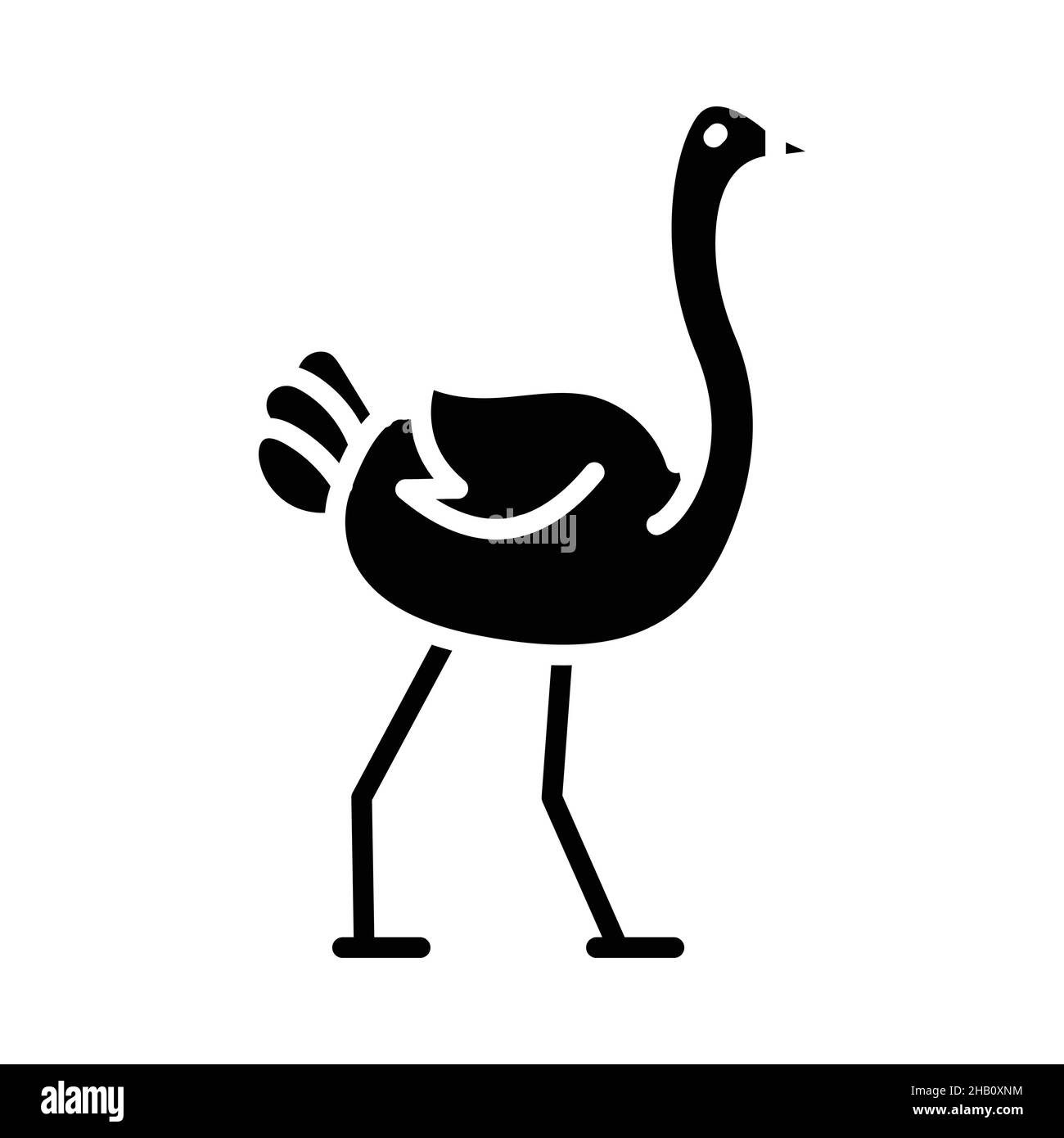 Line art vector ostrich Black and White Stock Photos & Images - Alamy