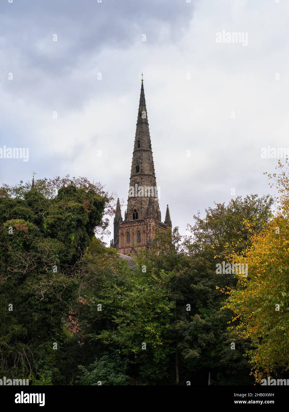 View of one of Lichfield Cathedral's three spires through the autumnal ...