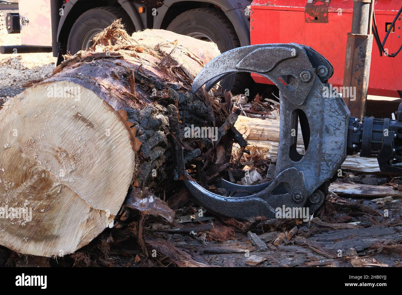 Loading equipment for logging. Log loader for timber, logs. Log loader ...