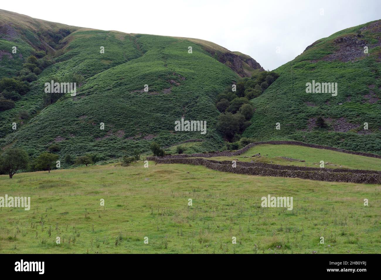 Easthwaite farm hi-res stock photography and images - Alamy