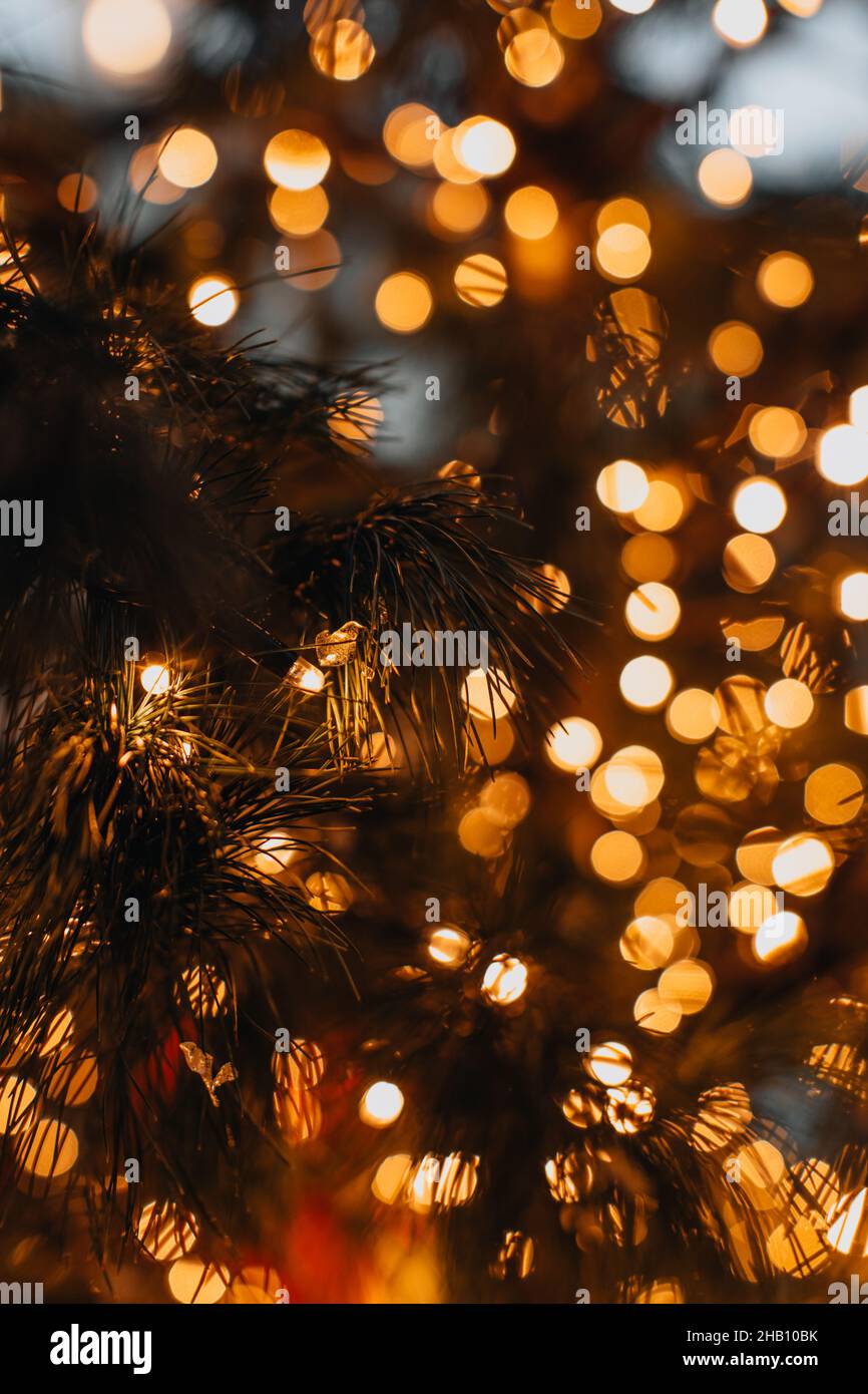 Miracle Background