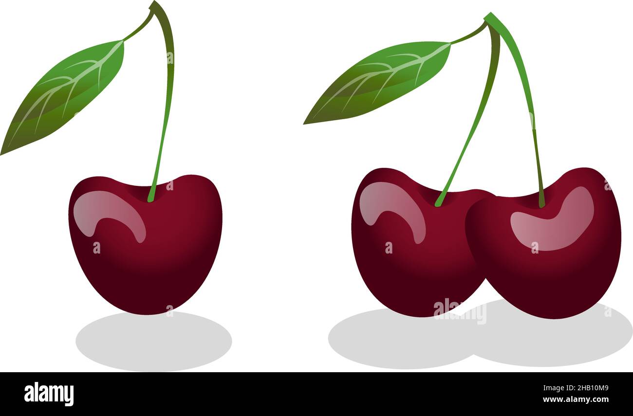 Set of photo realistic tasty cherries with shadow isolated drawing in ...