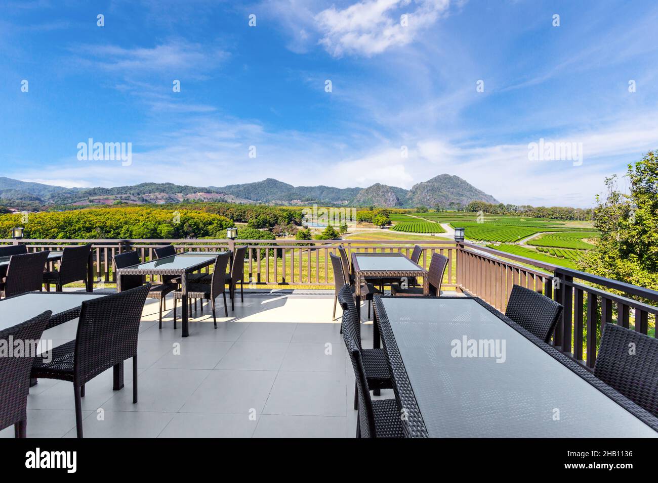 Tea Plantation fields view point from restaurant in the summer with ...