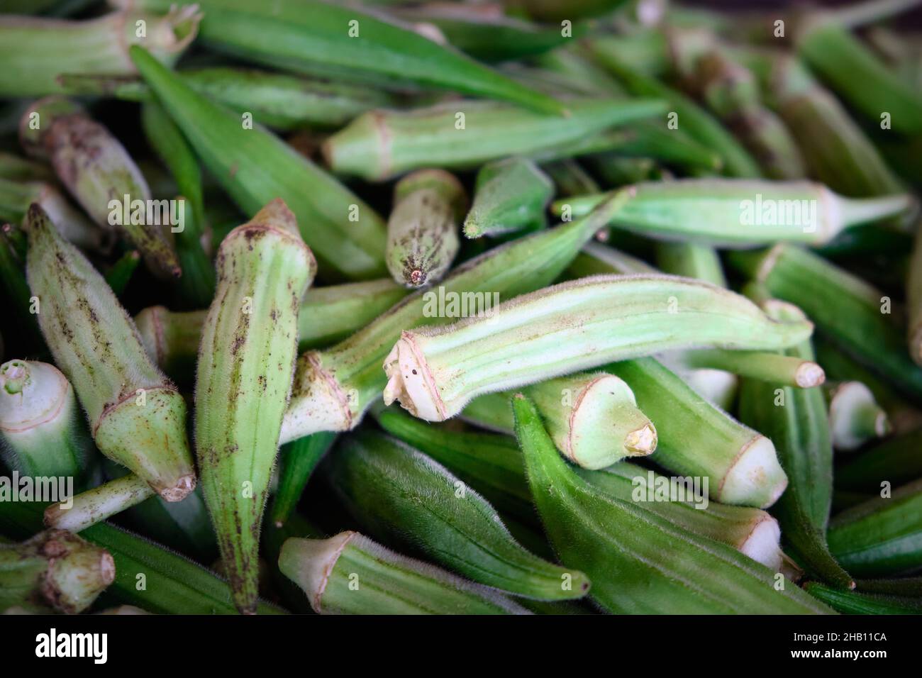 Fresh green okra pods on a market Stock Photo - Alamy