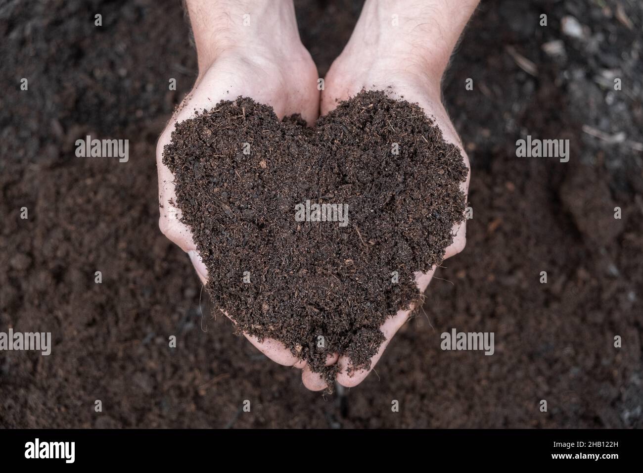 Male farmer holding soil in his hands. Organic Compost ground in heart ...