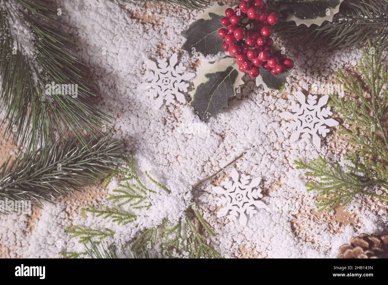 Winter foliage hi-res stock photography and images - Alamy