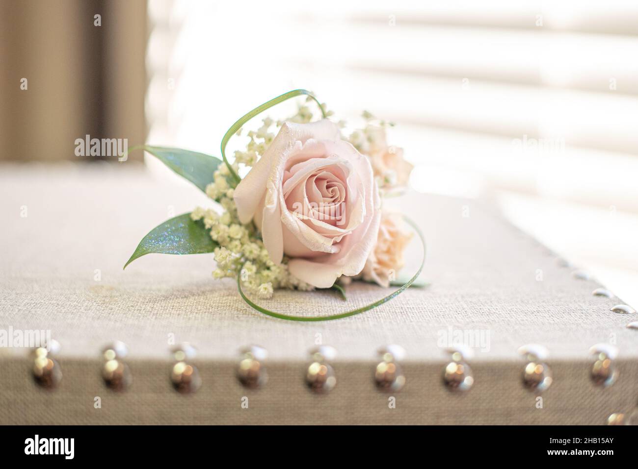 Chest single view hi-res stock photography and images - Alamy