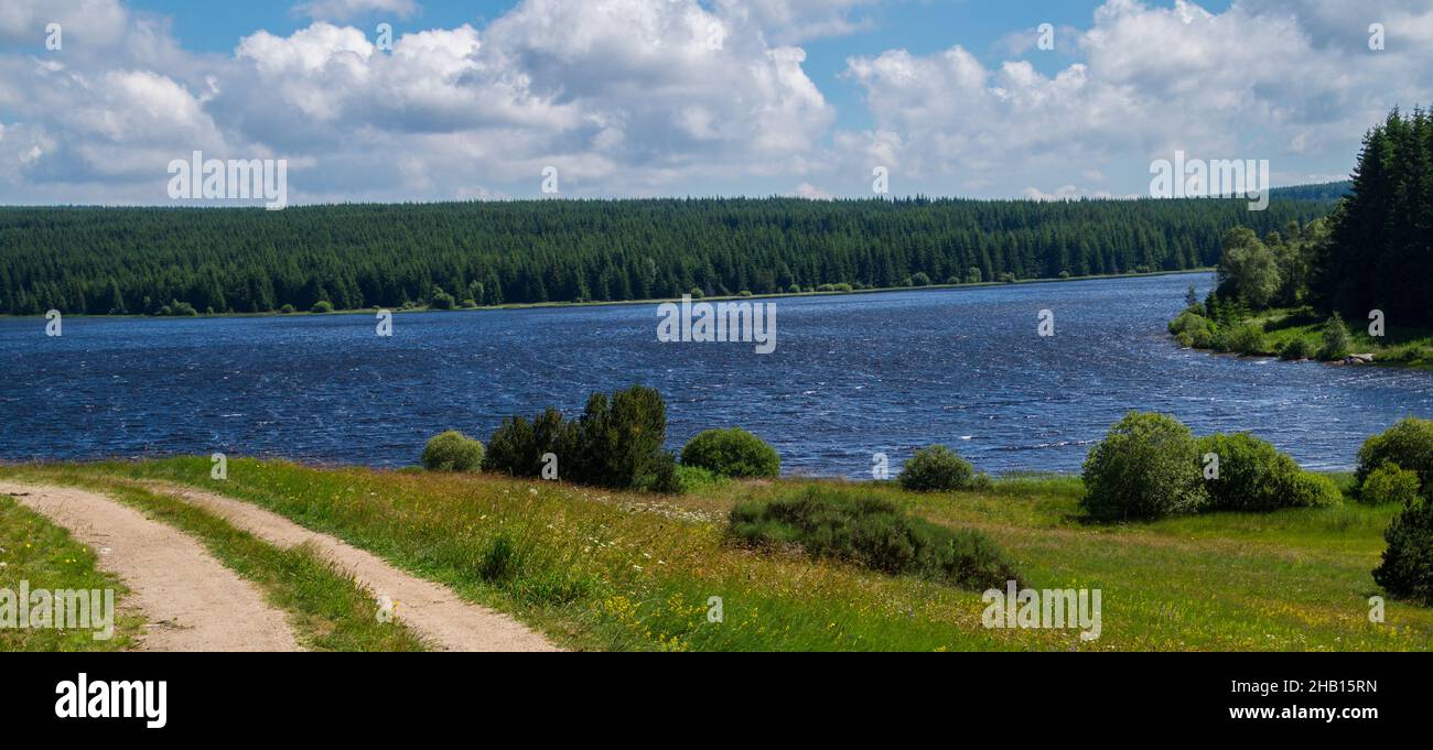 Beautiful view of the amazing landscape of lake with green trees Stock ...