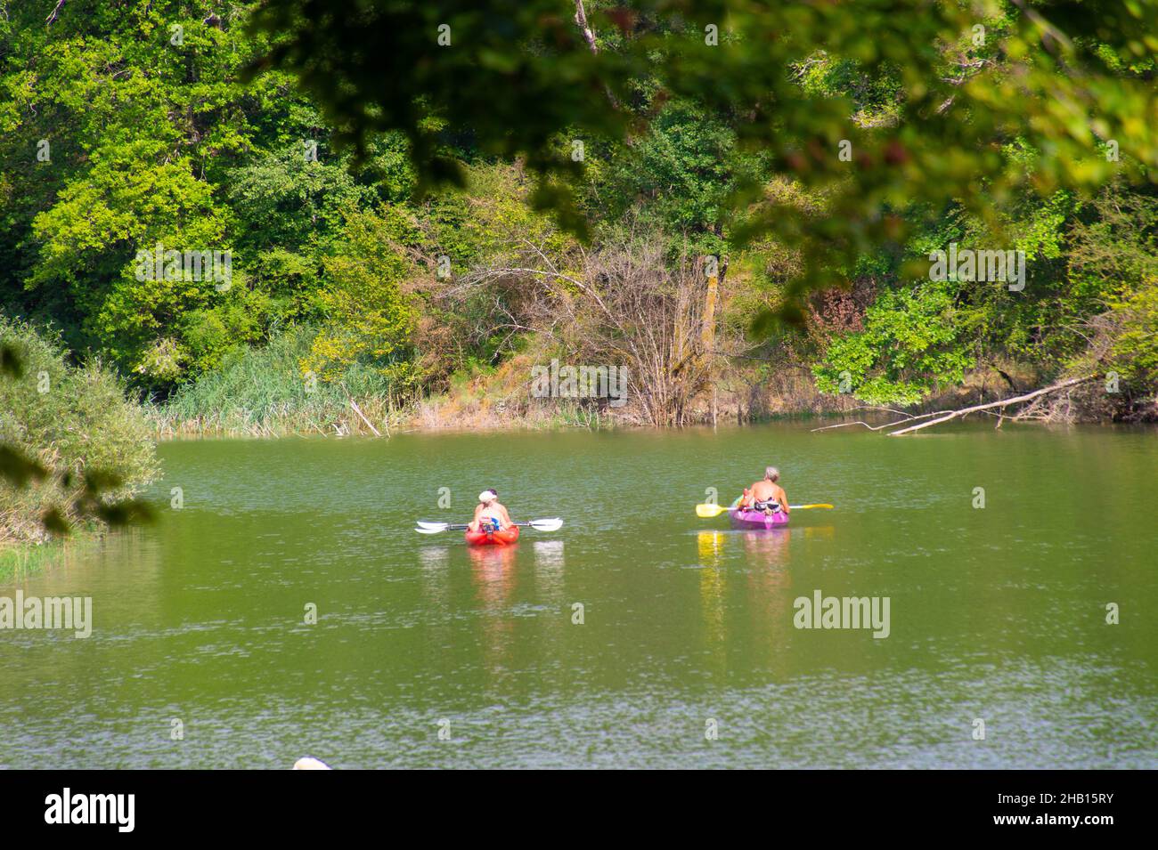 Beautiful view of friends kayaking in wild river near shore with green ...