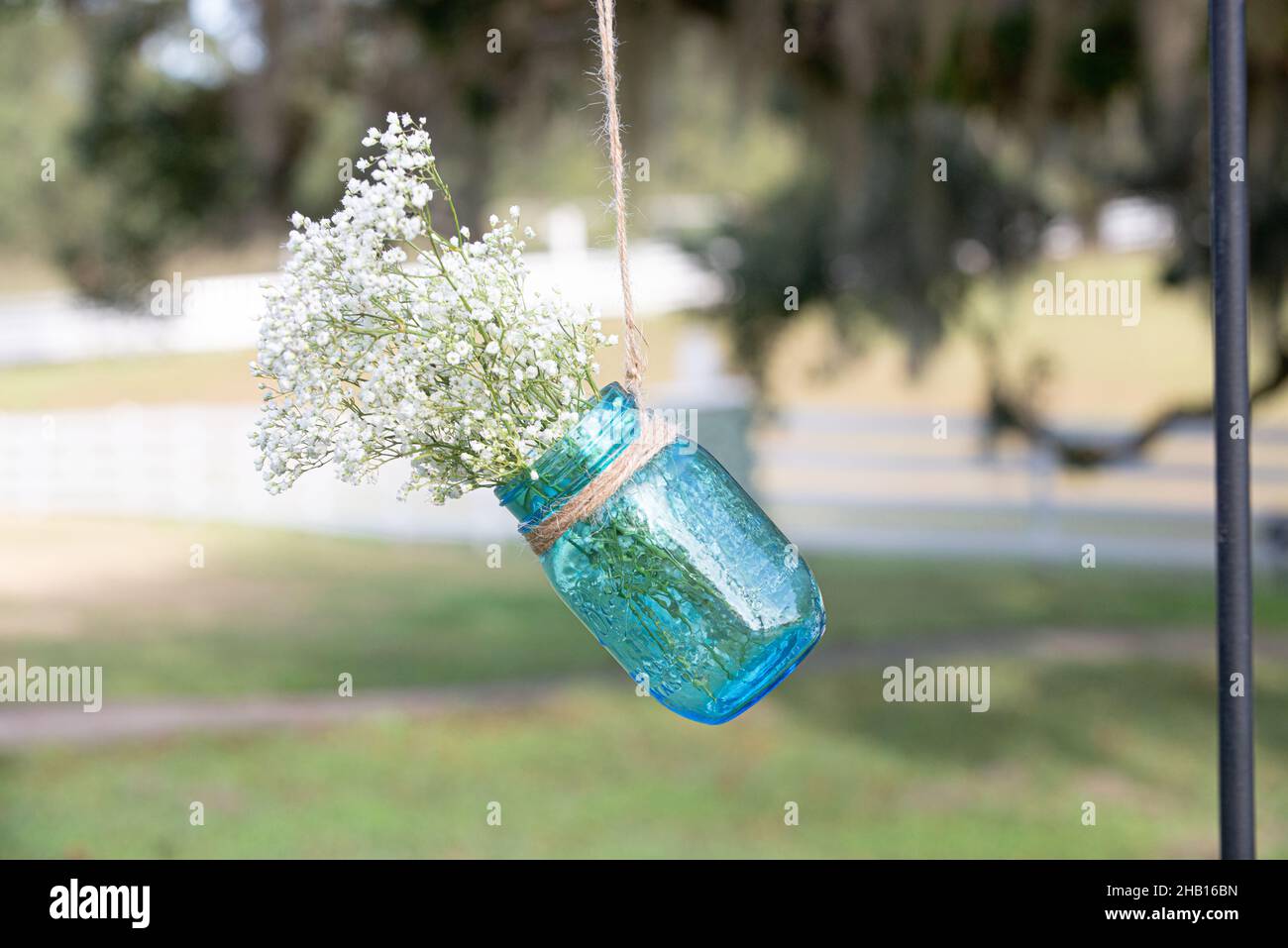 Babies breath in blue mason jar hangin decor on wedding isle Stock Photo - Alamy