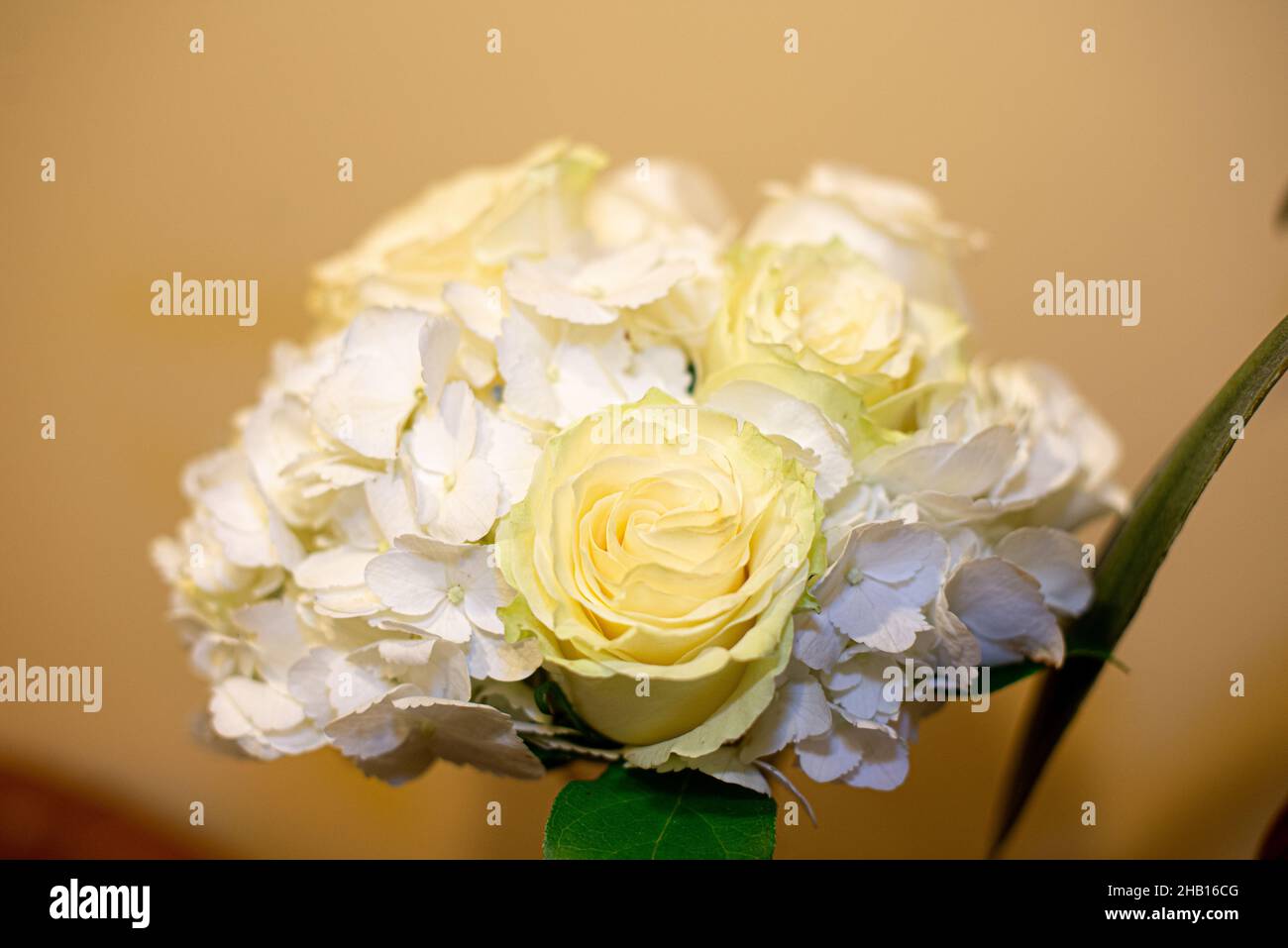 Amazing Yellow Roses floral bouquet Stock Photo - Alamy