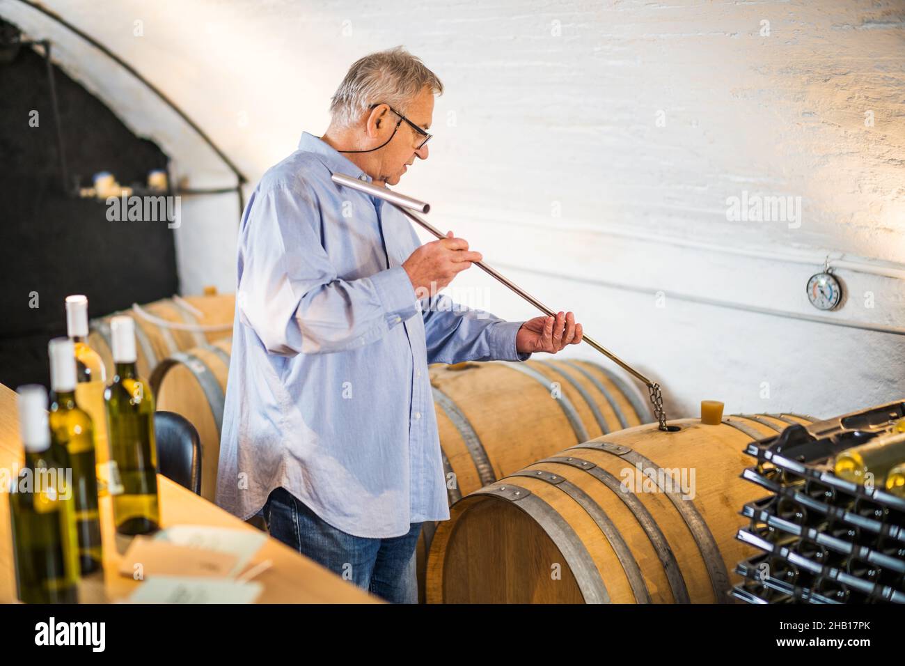 Portrait of senior man who owns winery. He is examining quality in his ...