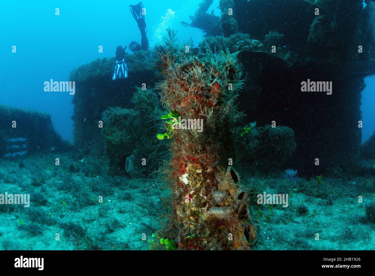 Wreck photos hi-res stock photography and images - Alamy