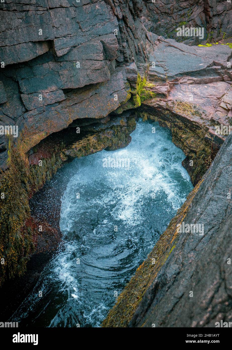 Vertical shot of the coastline rocks in Arcadia National Park, Maine ...