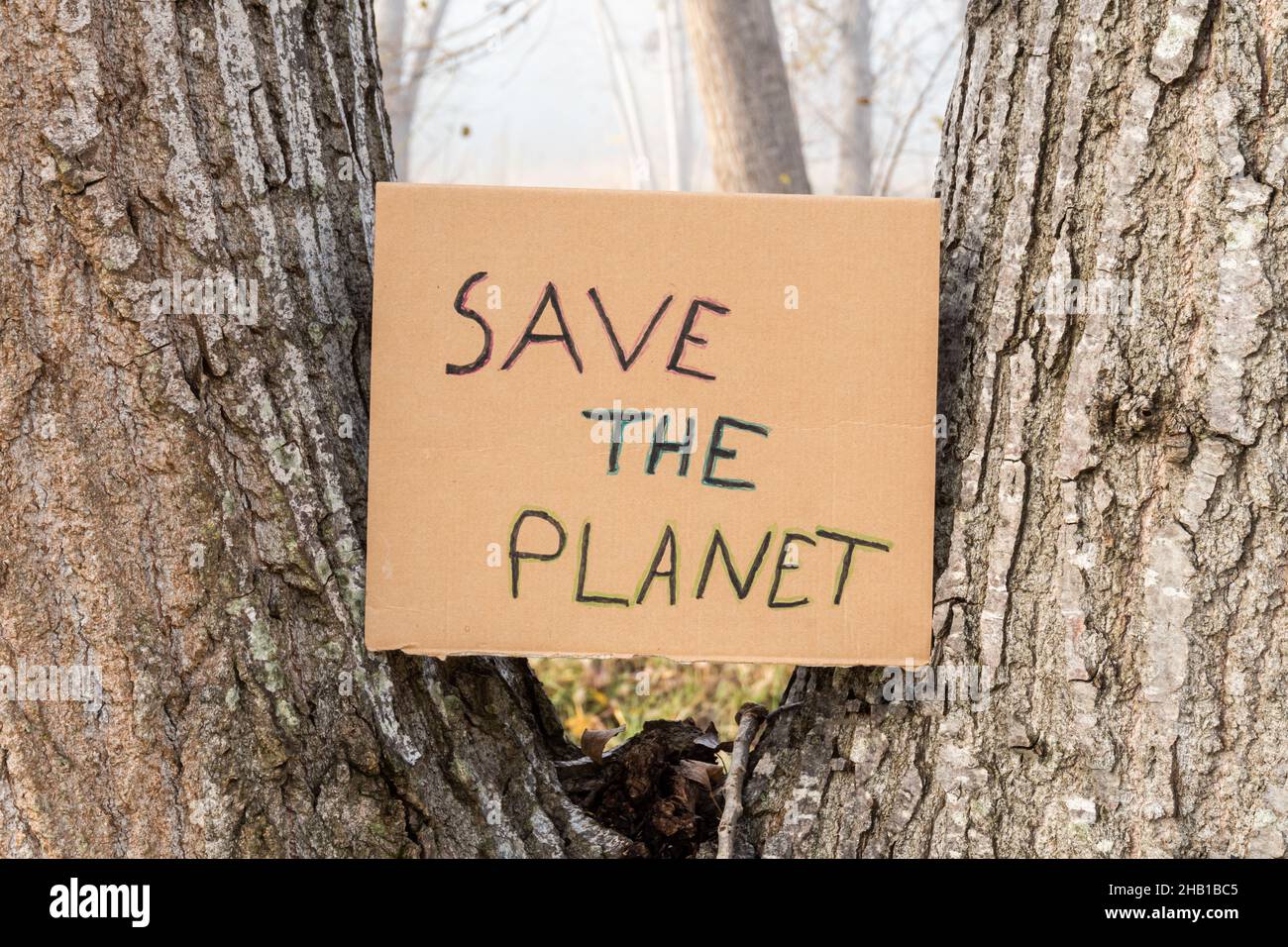 Cardboard sign with the slogan Save the Planet on the tree with the ...