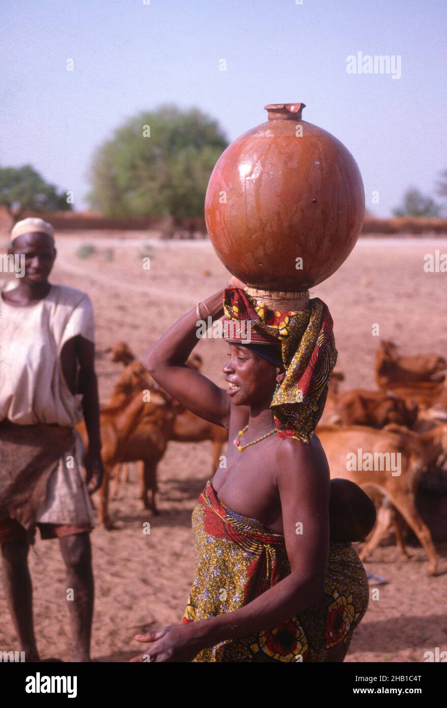 Life in the Sahel region of northern Nigeria, west Africa, early 1980s ...