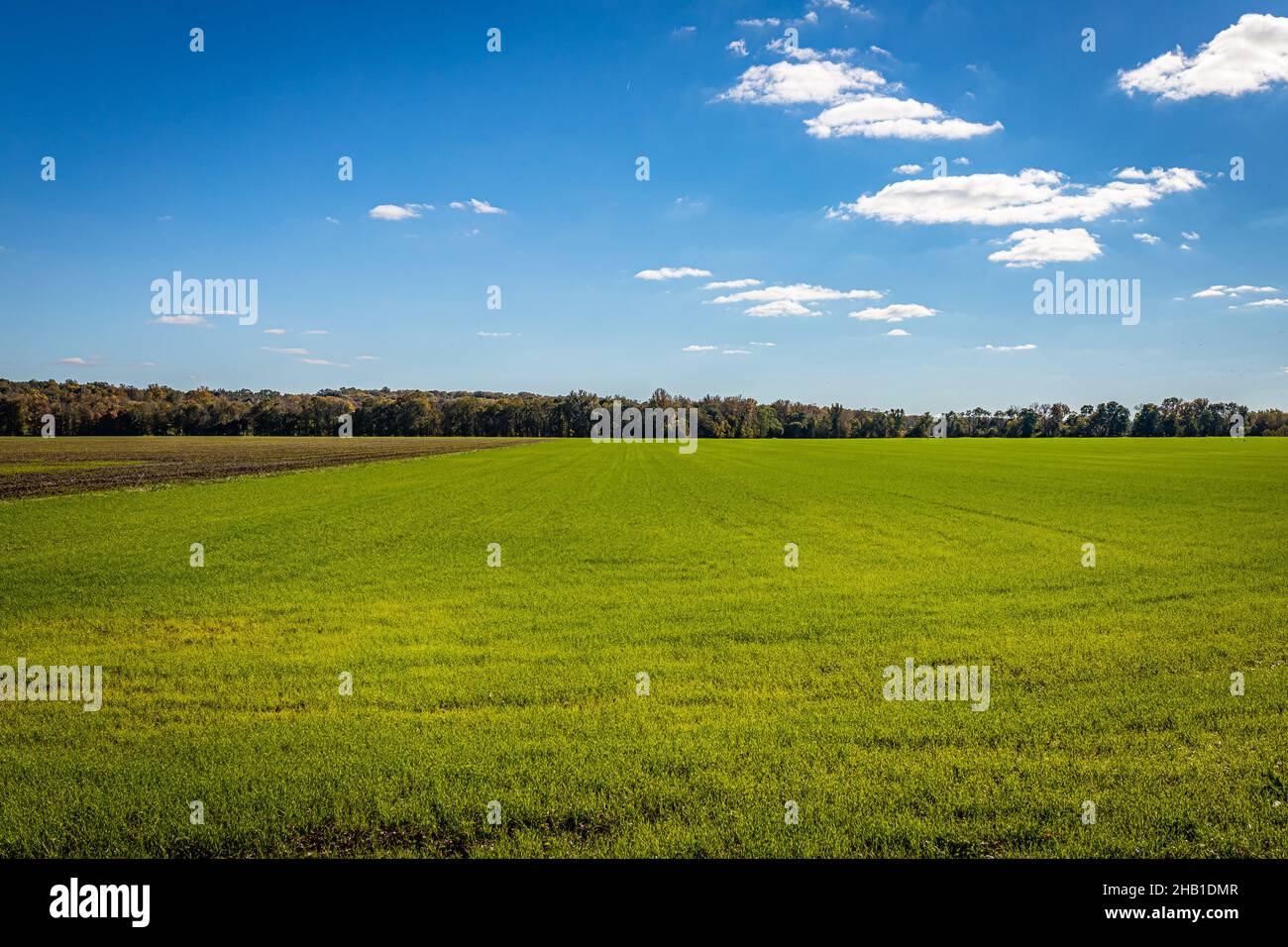 Agricultural fields along a rural road in Parke County, Indiana during ...