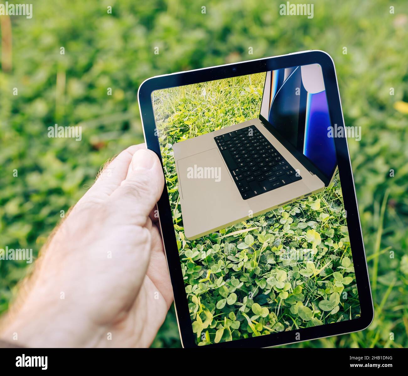 Apple Computers Ipad Mini tablet computer looking in the garden at the ...