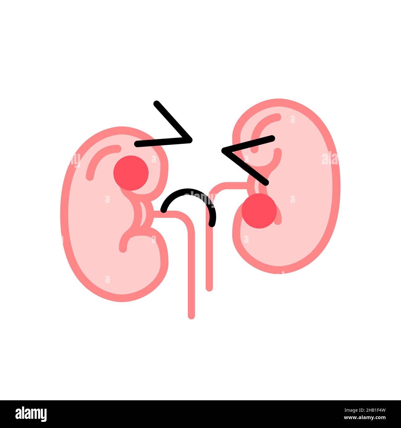 Human kidneys icon cartoon Stock Vector Images - Alamy