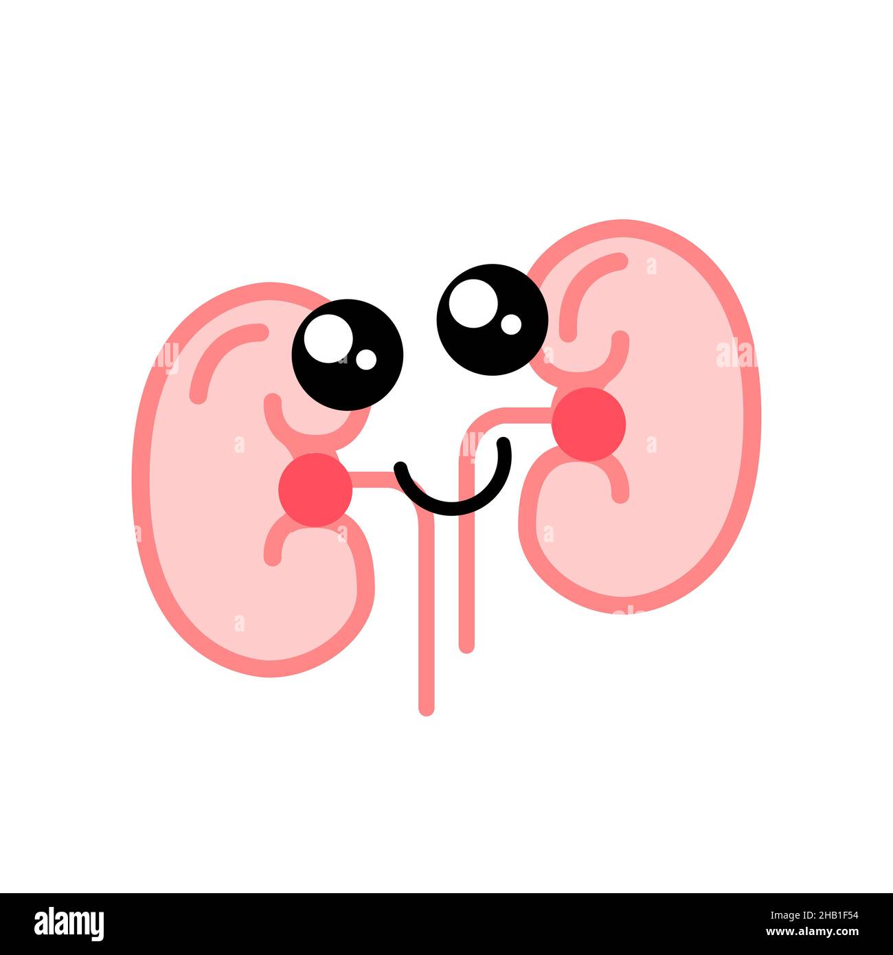 Human kidney cartoon happy hi-res stock photography and images - Alamy