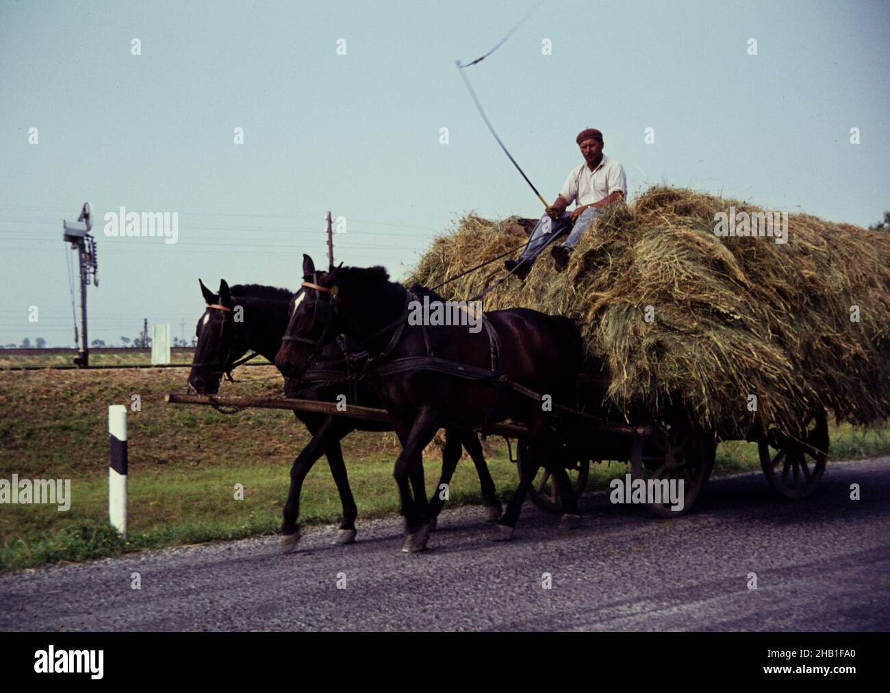 1960s hay hi-res stock photography and images - Alamy